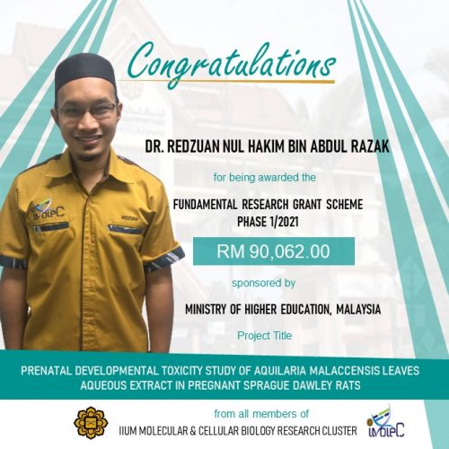 Congratulations for Receiving Fundamental Research Grant – iMoleC